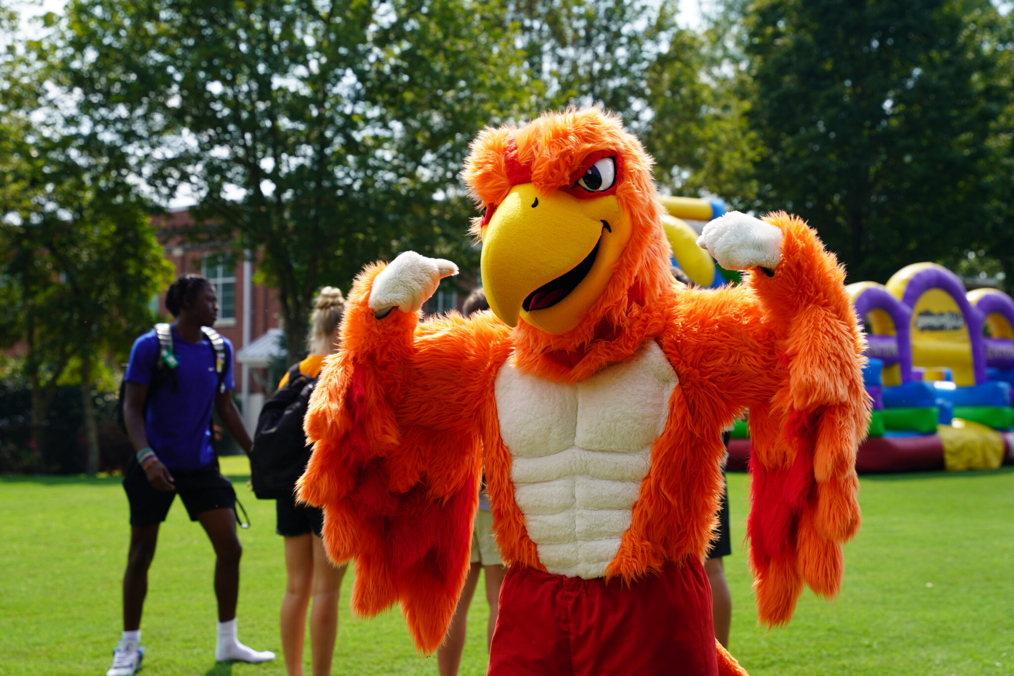 Firehawk Cheat Codes – UT Southern